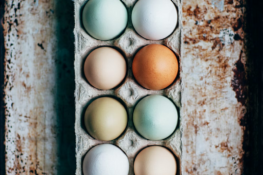 Gih Badet - Vattengympa, Simskola, Pris, Parkering, Stockholm